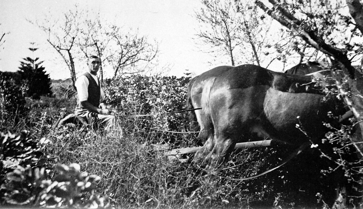 Negative - Merbein, Victoria, circa 1918