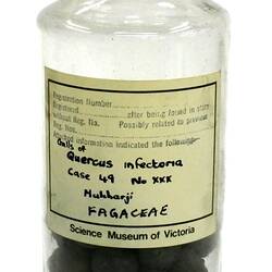 T.N. Mukharji Collection