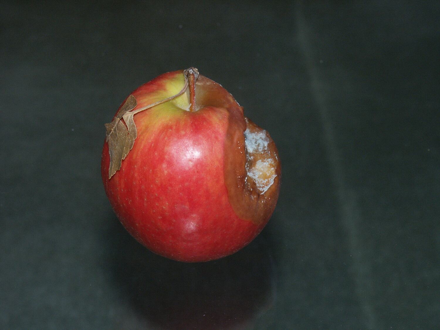 Apple Loses its Way 1991-1996: The Apple Computer Story