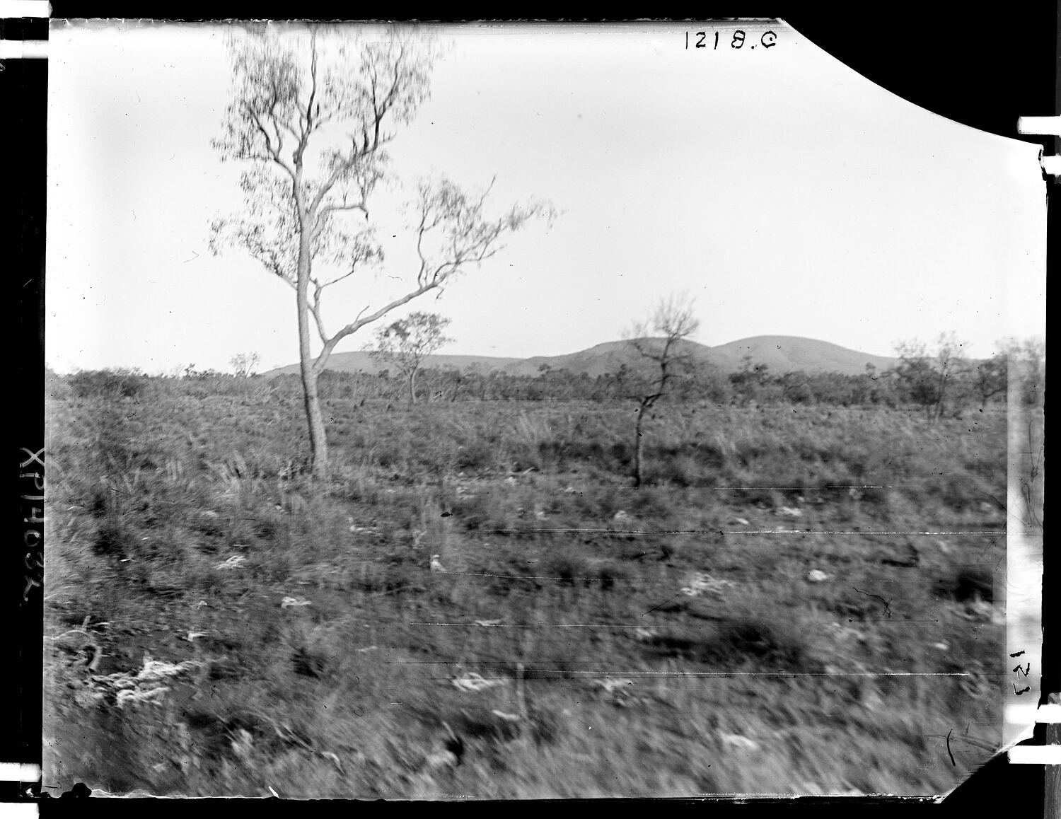Glass plate. Central Mount Stuart, Central Australia, Northern ...