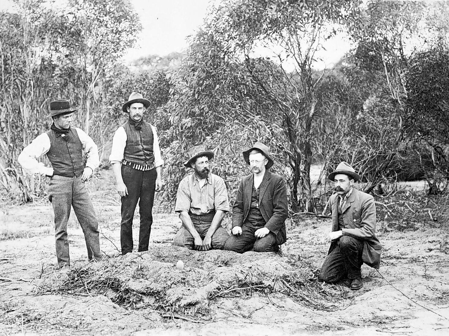 Negative - Underbool, Victoria, 1910