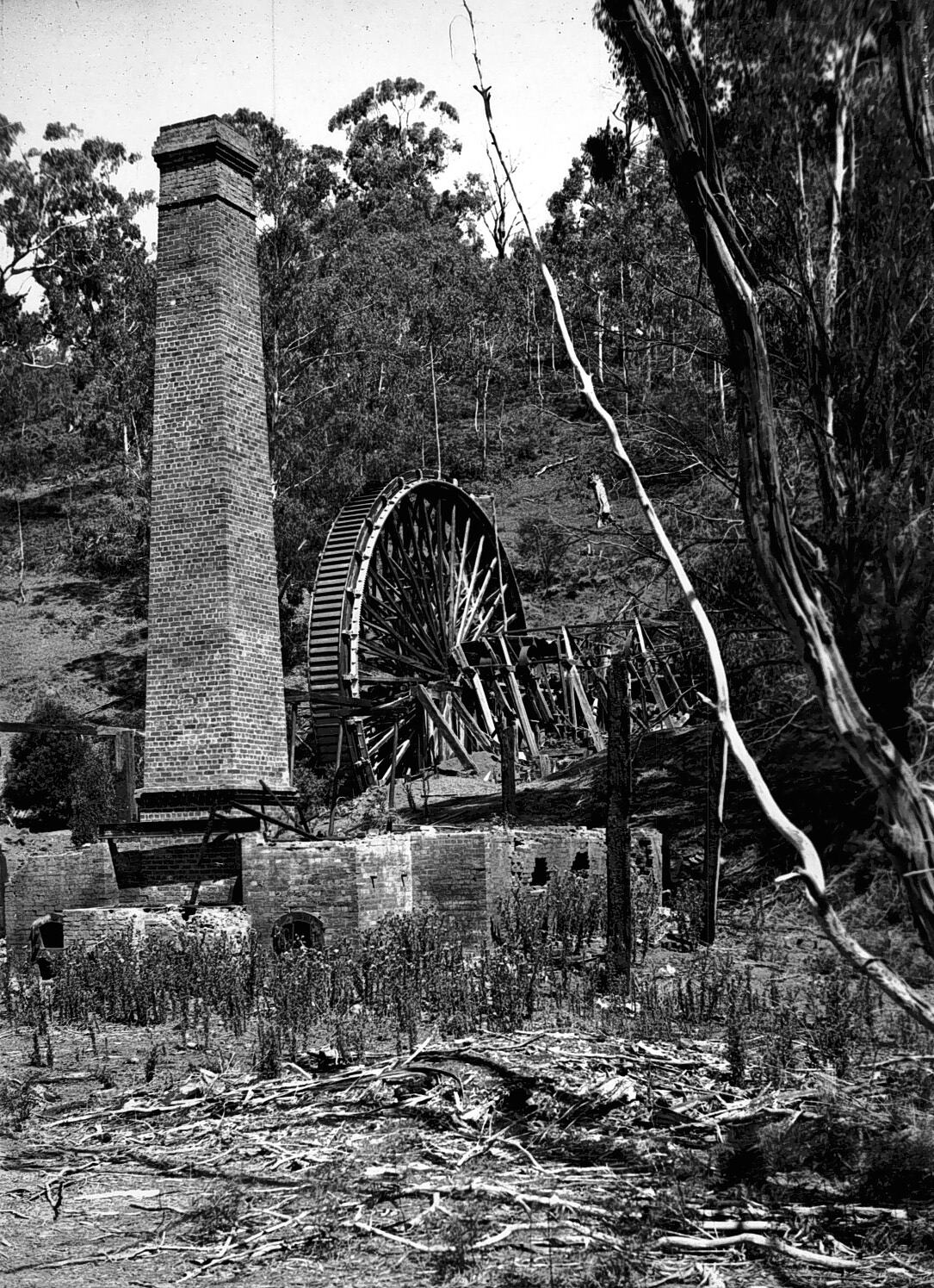 Negative - Howqua River, Victoria, 1915