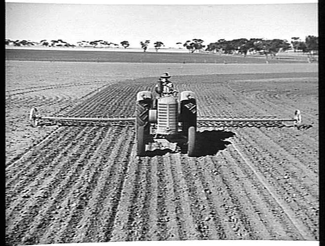 Photograph - H.V. McKay Massey Harris, Tractor-drawn Sunjump Harrow at ...
