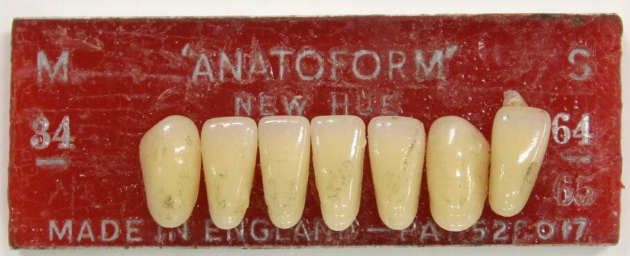 Artificial Teeth - Incisors, Anatoform, circa 1925