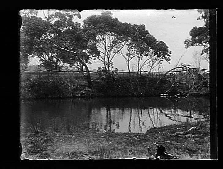 Glass Negative - Landscape, by Hugh Conran, Australia, circa 1910s