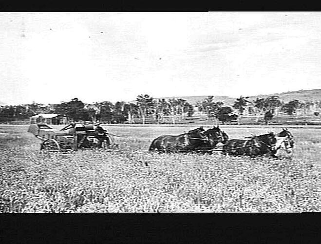 Photograph - H.V. McKay Pty Ltd, Farm Equipment Manufacture & Field ...