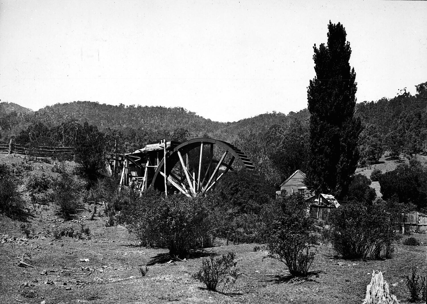 Negative - Howqua Hills, Victoria, 1915