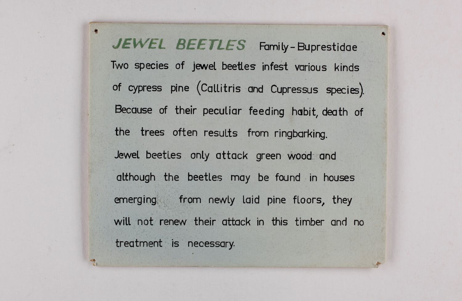 Exhibition Label - Jewel Beetle, Institute of Applied Science ...