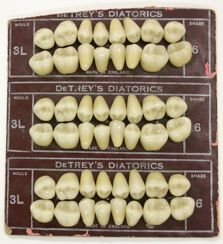 Artificial Teeth - Porcelain Cuspid & Molar, DeTrey's Diatorics, circa 1925