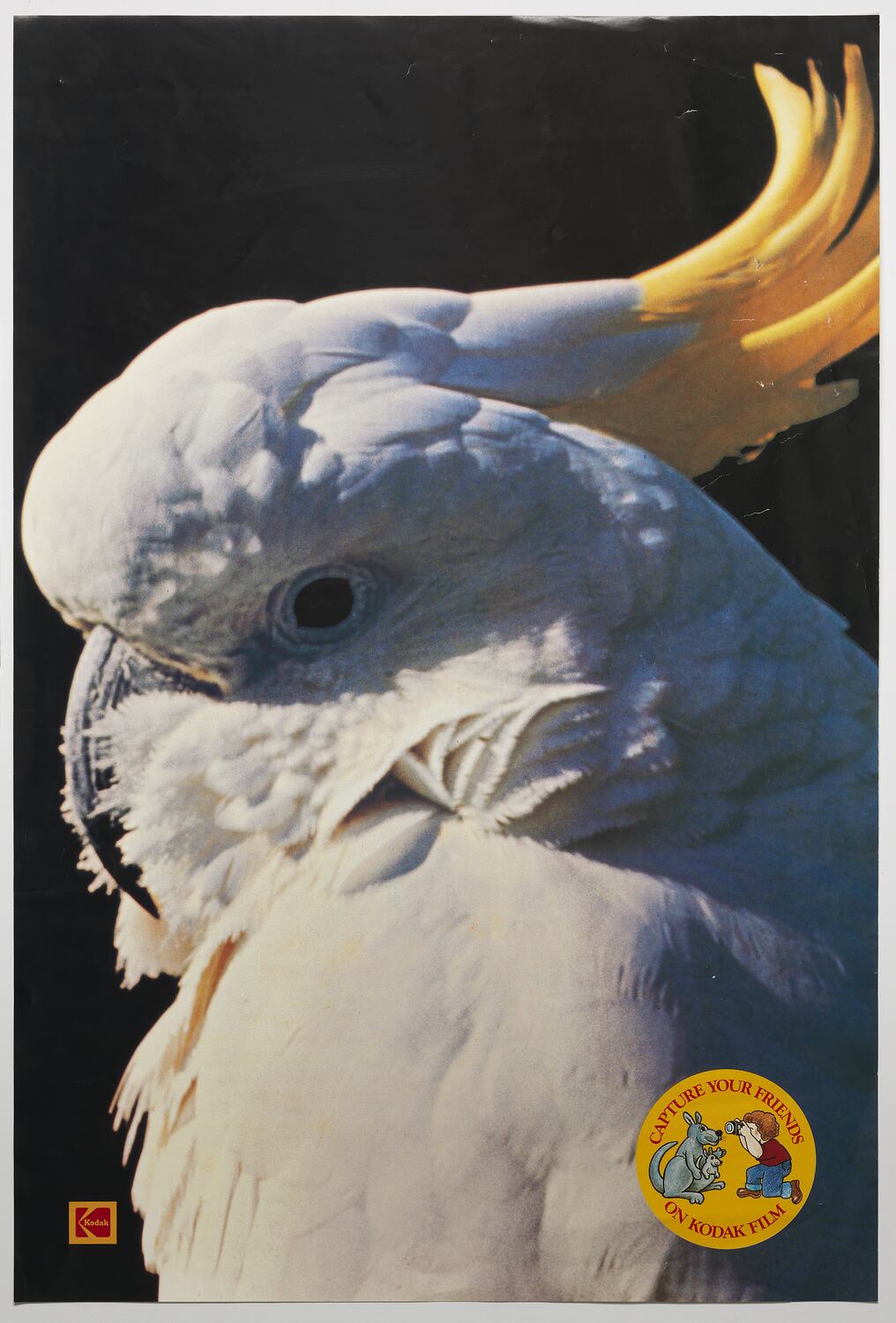 Poster - 'Capture Your Friends on Kodak Film', Kodak Australasia Pty ...